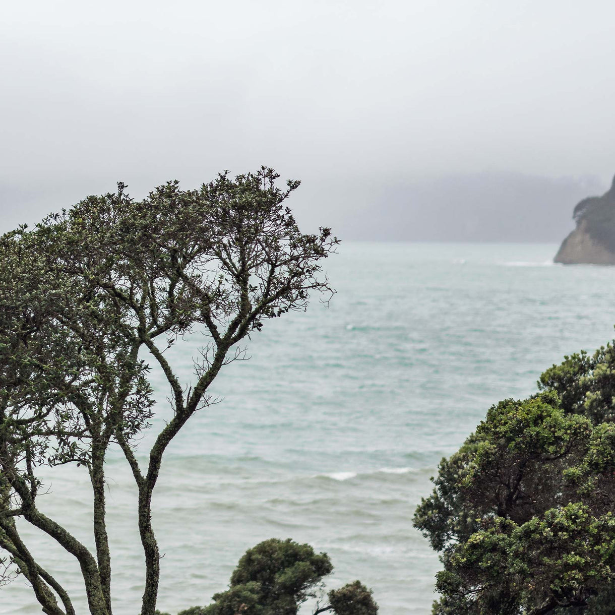 Misty Coast – Art Lovers Republic